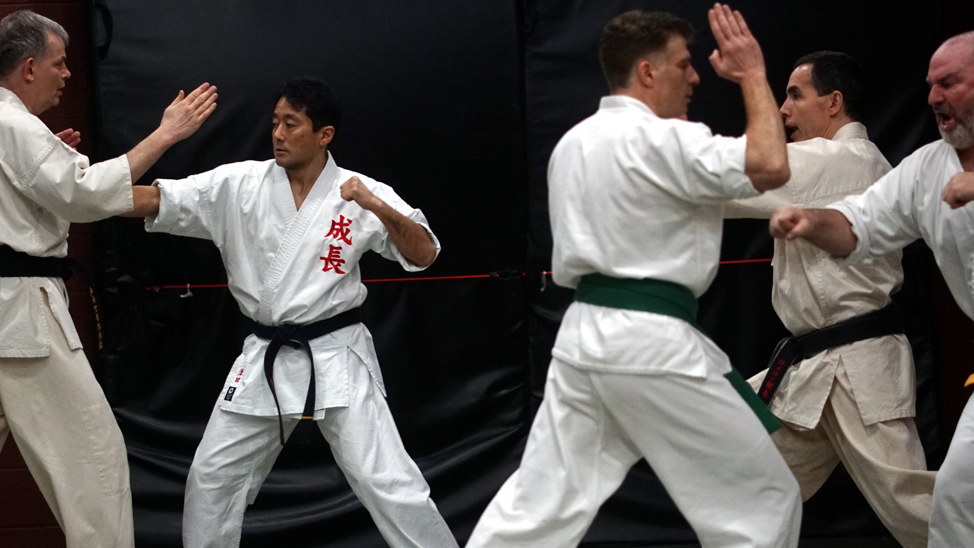 Seichou Karate – Building healthy minds and bodies